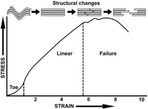 Snel Herstel Na Een Spierscheuring | Fysiotherapie4all