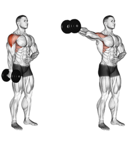 Side Raise Oefeningen En Behandeling | Fysiotherapie4all